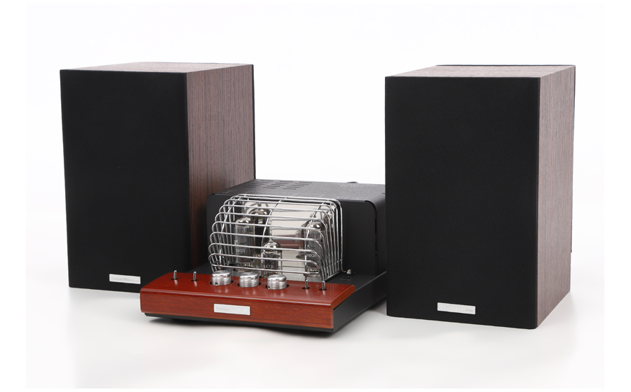 SWL-T20USET1 - soundwarrior